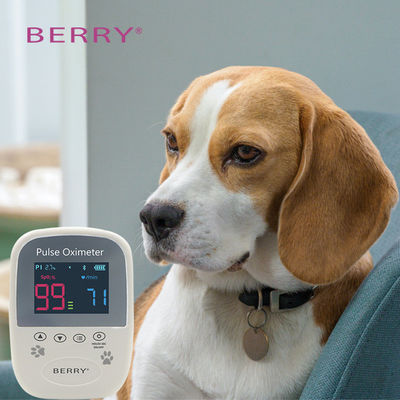 Veterinary Patient Monitor factory, Buy good quality Veterinary Patient ...